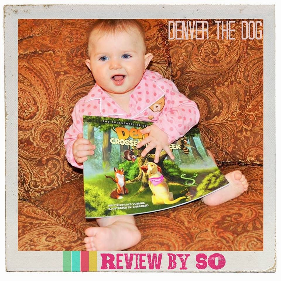 Sarah with an H: The Adventures of Denver the Guilty Dog REVIEW