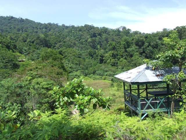 Taman Nasional Bukit Tigapuluh 30 TNBT | Attayaya Blog