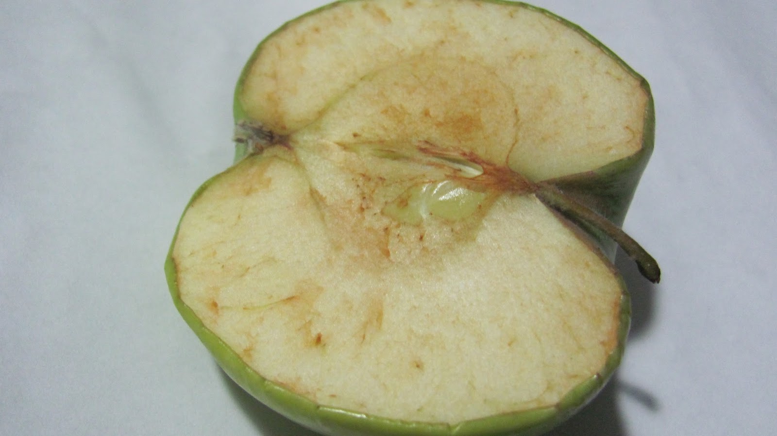 Fotociencia: Oxidación de una manzana Fotociencia: Oxidación de una manzana