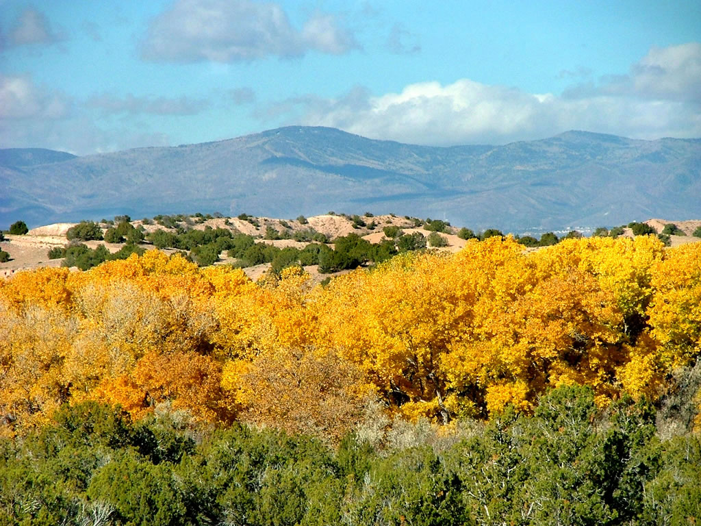 All EveryThing 2011 Santa Fe New Mexico all-everything-2011-santa-fe-new-mexico