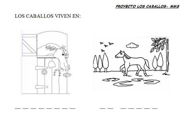 Menta Más Chocolate - RECURSOS y ACTIVIDADES PARA EDUCACIÓN INFANTIL ...