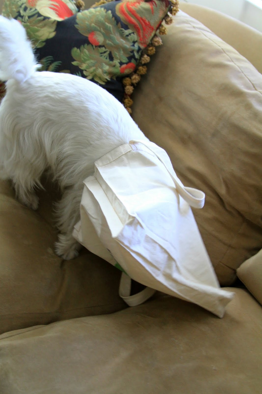 The White Dog Blog Wordle Crafts For Pet Lovers the-white-dog-blog-wordle-crafts-for-pet-lovers