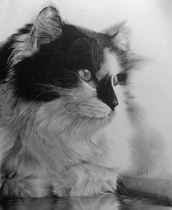 Art-Sci: The Best Photorealistic Drawings Art-Sci: The Best Photorealistic Drawings