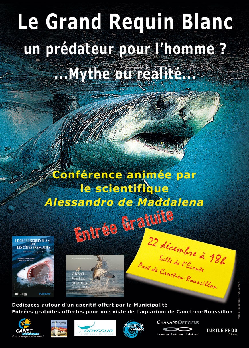 Le GRAND REQUIN BLANC
