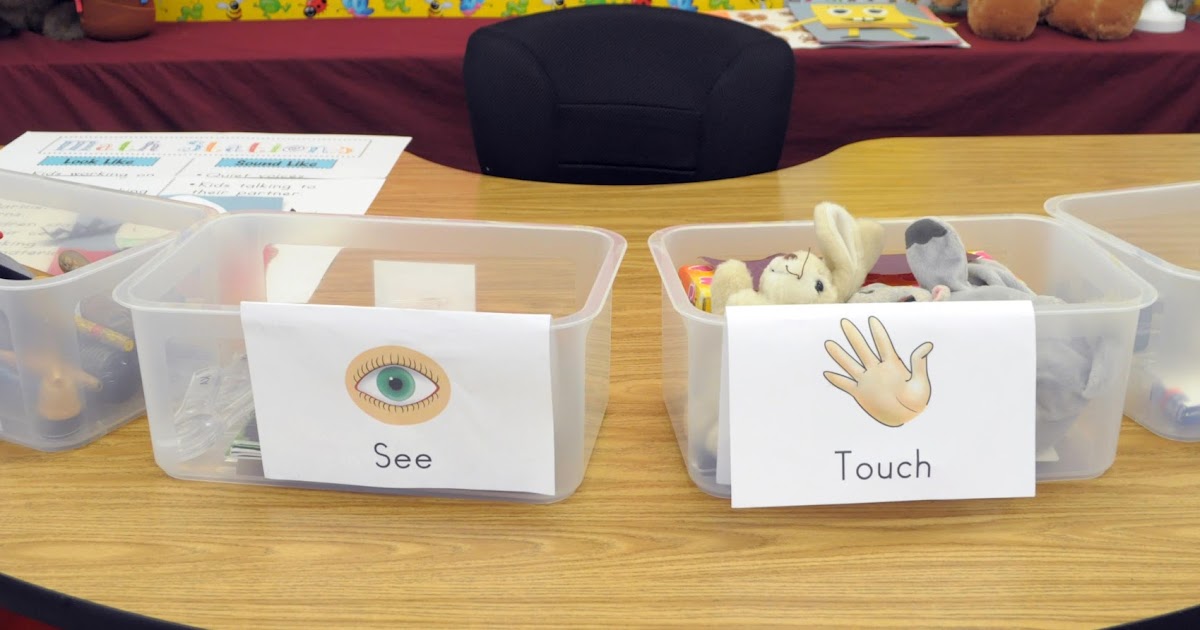 Exploring Science!: 5 Senses Investigation Box