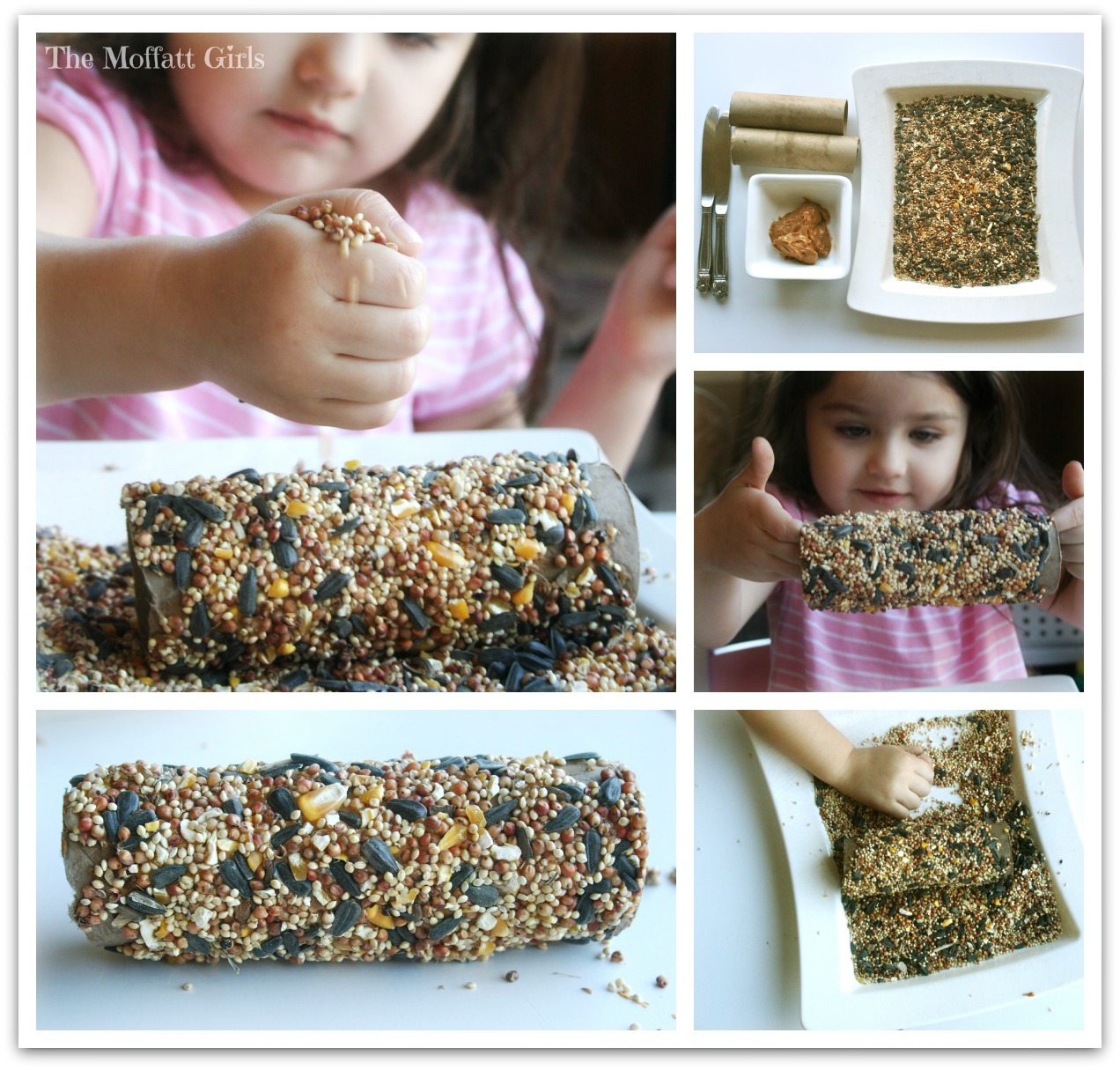 An EASY Bird Feeder Craft an-easy-bird-feeder-craft