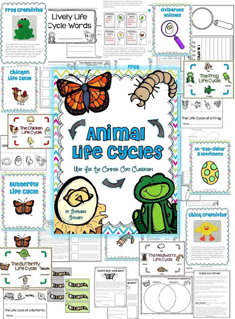 Life Cycles Unit and Spring Animals | Falling into First