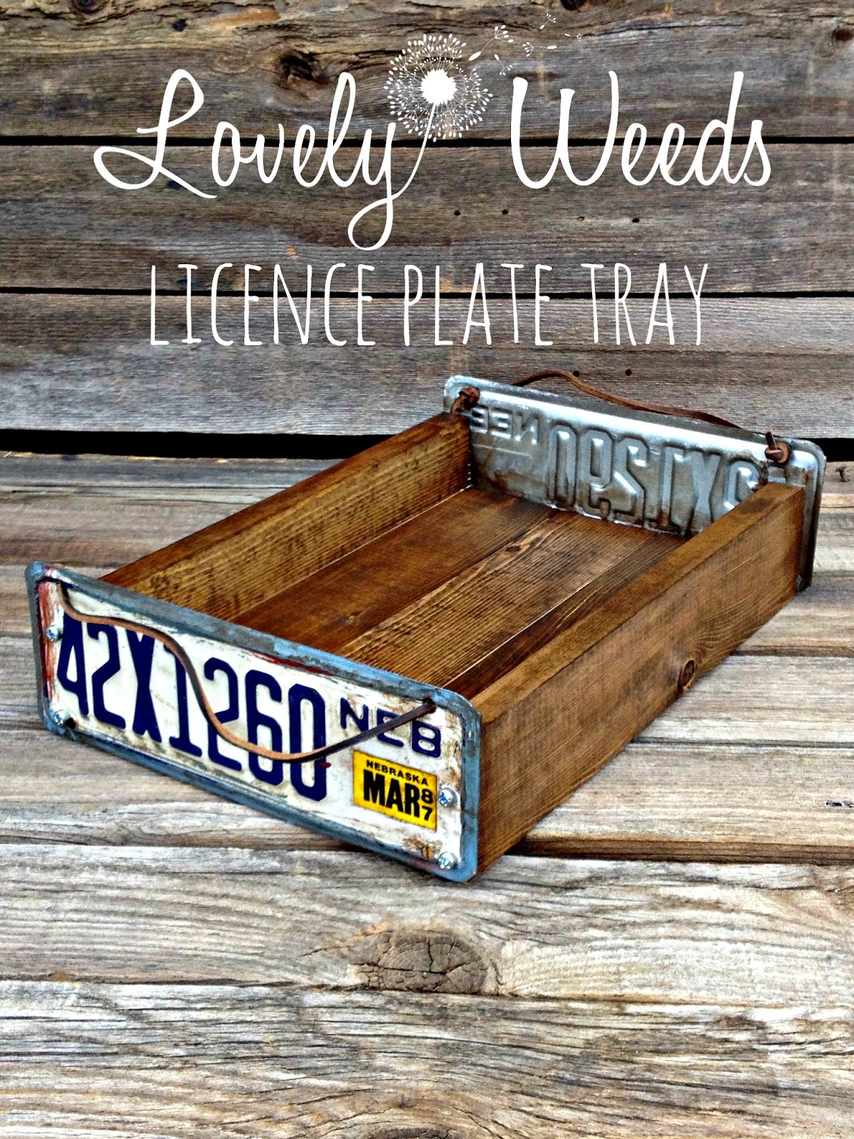 Salvaged License Plate Tray Lovely Weeds salvaged-license-plate-tray-lovely-weeds