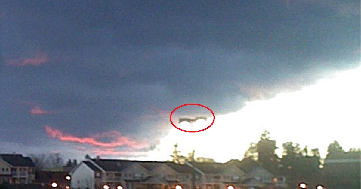 The Fortean Slip: Thunderbird Sighting Accounts From Pennsylvania