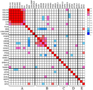 Map Analysis: Correlation Matrix