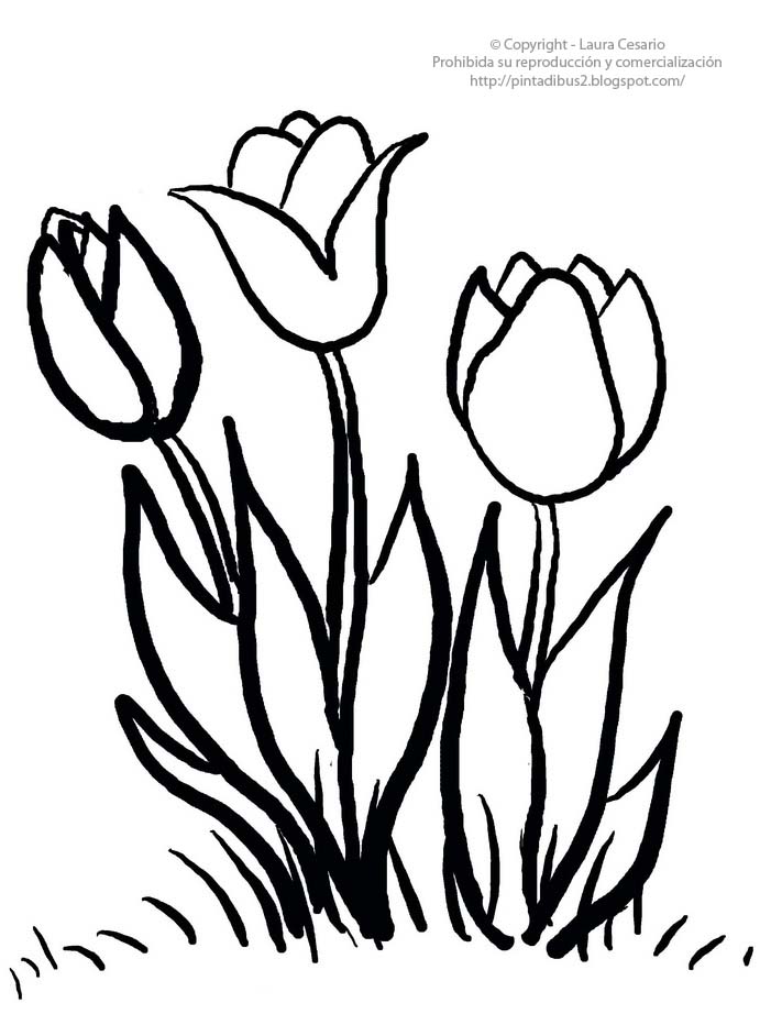 Dibujos para imprimir y colorear – Pinta Dibus: Dibujo de flores para ... Dibujos para imprimir y colorear – Pinta Dibus: Dibujo de flores para ...