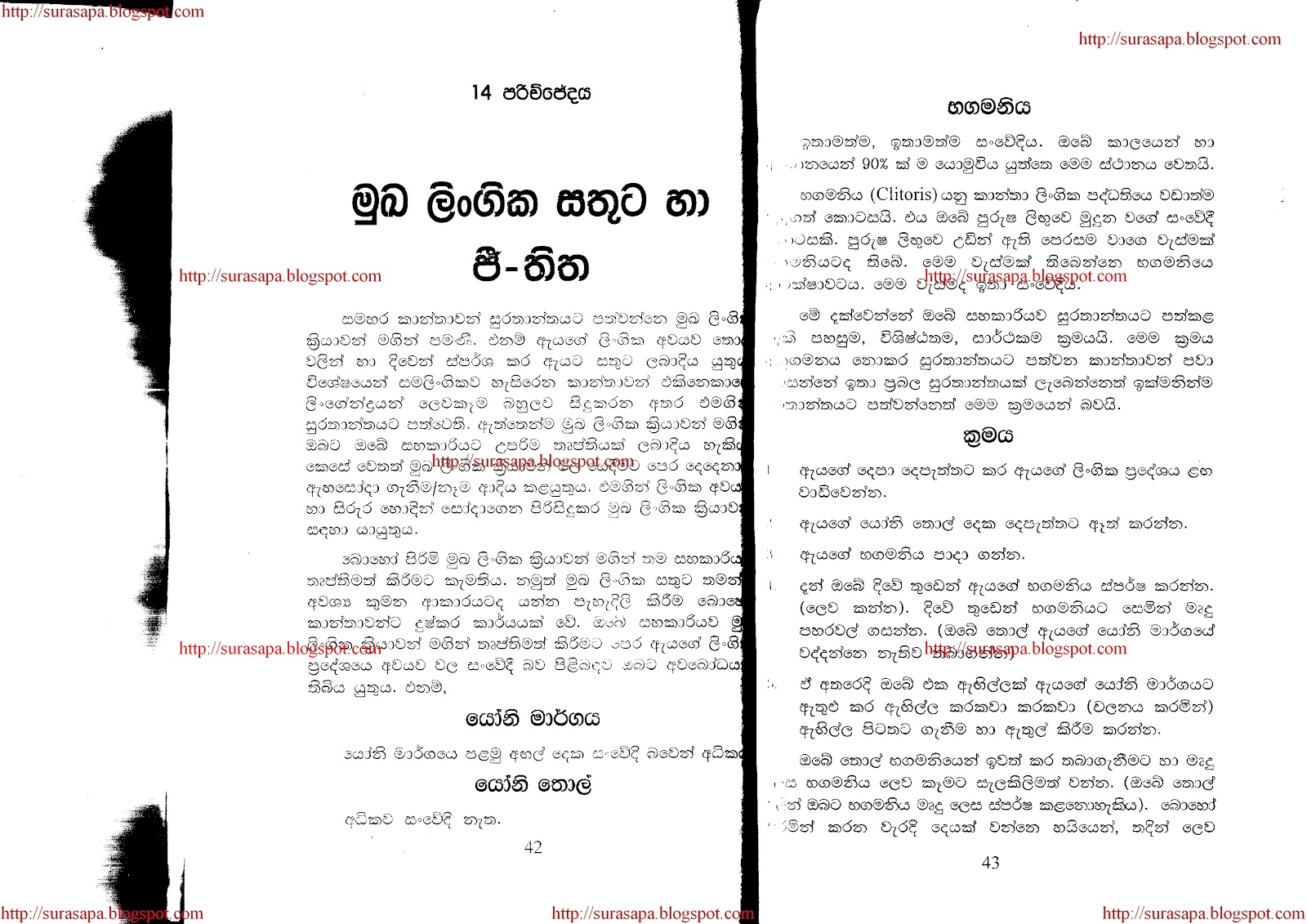 Sri Lankawe Kello Heluwen | Foto Bugil Bokep 2017