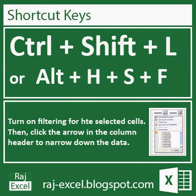Raj Excel: Microsoft Excel 2013 Short Cut Keys: Ctrl + Shift + L (Filter the Data)