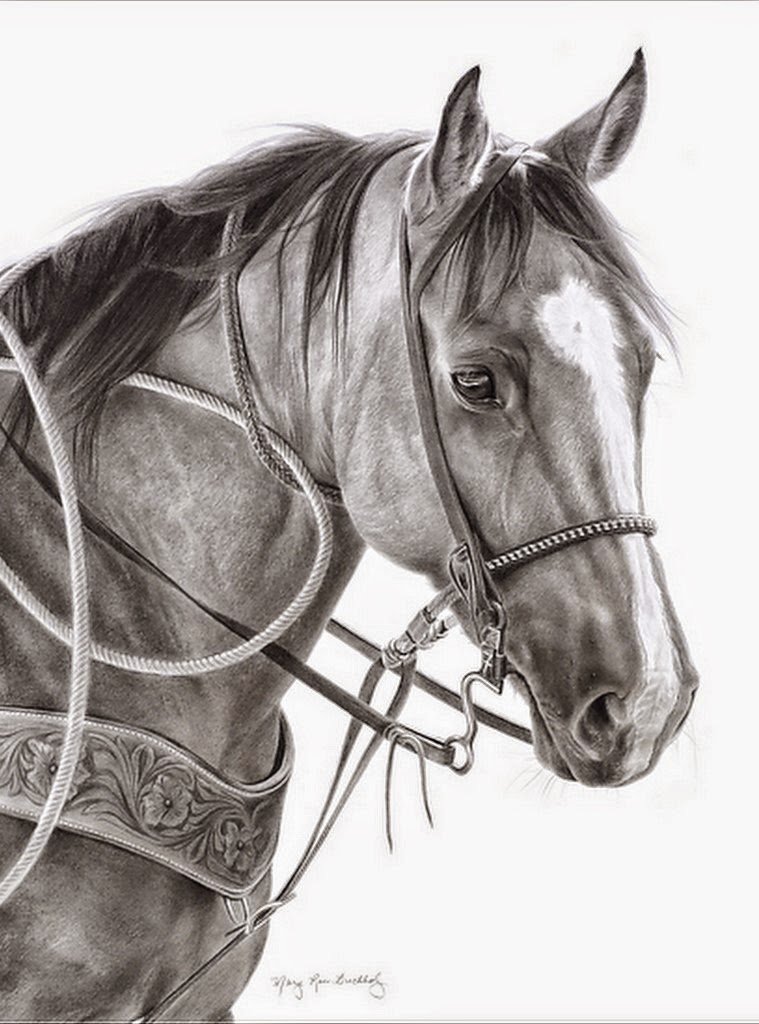 Dibujos de caballos a lapiz - Imagui