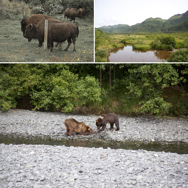 Lovingly Simple: September 2012