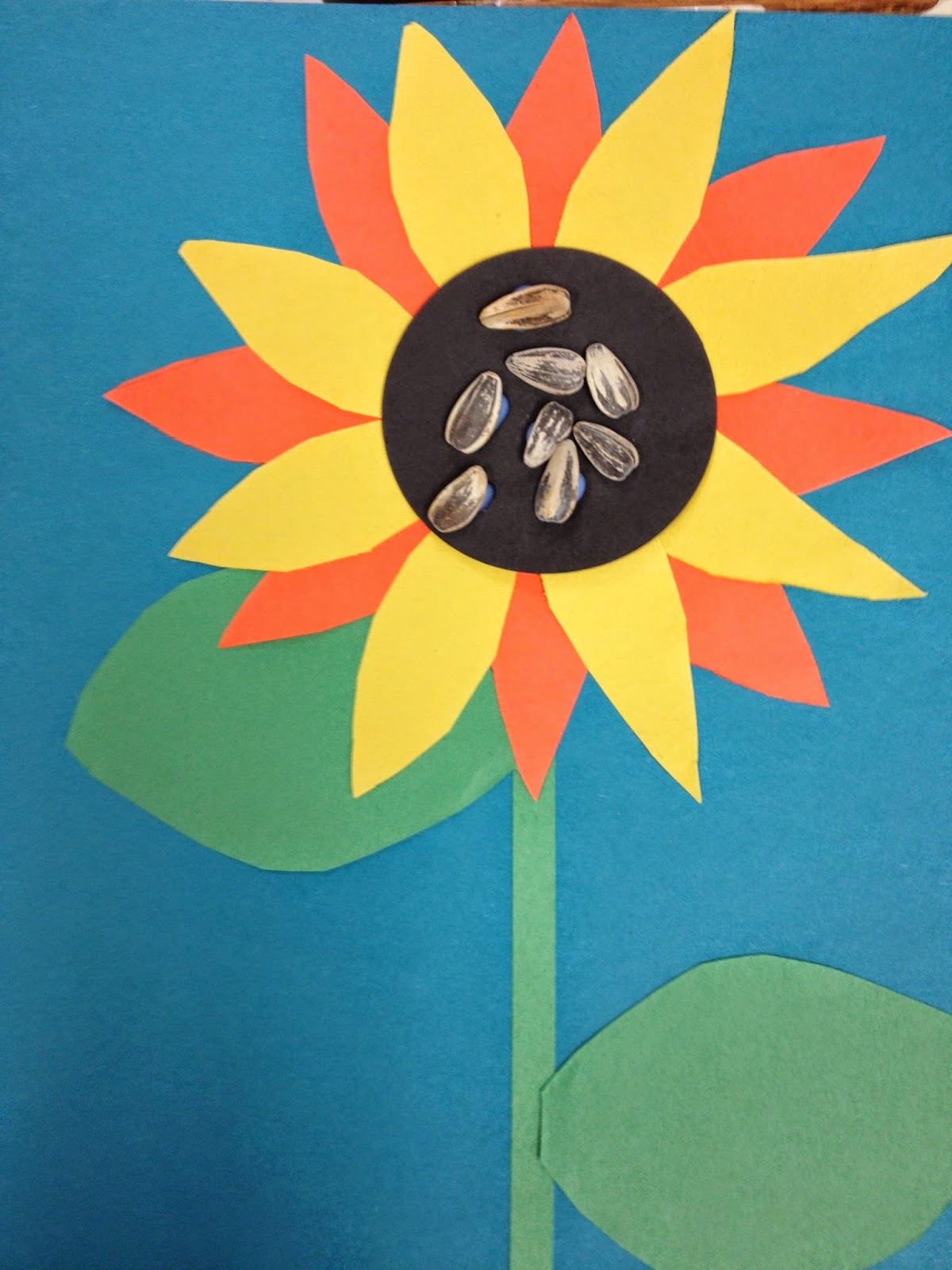 Sunflower Activity and Plant FREEBIE! - Dynamic Learning Resources
