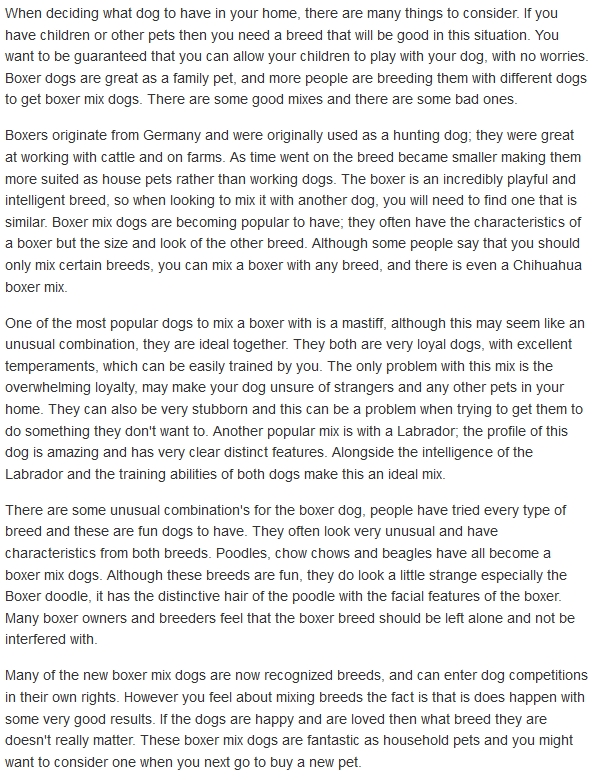 Types Boxer Dogs - Types of Boxer Mix Dogs ~ Types dogs Types Boxer Dogs - Types of Boxer Mix Dogs ~ Types dogs