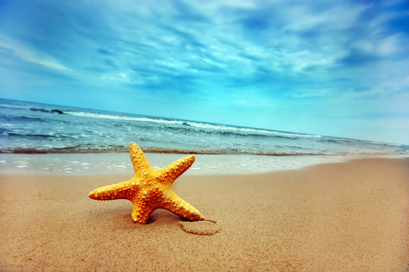 Wishes Fulfilled conditions Apply Nonsensicals wishes-fulfilled-conditions-apply-nonsensicals