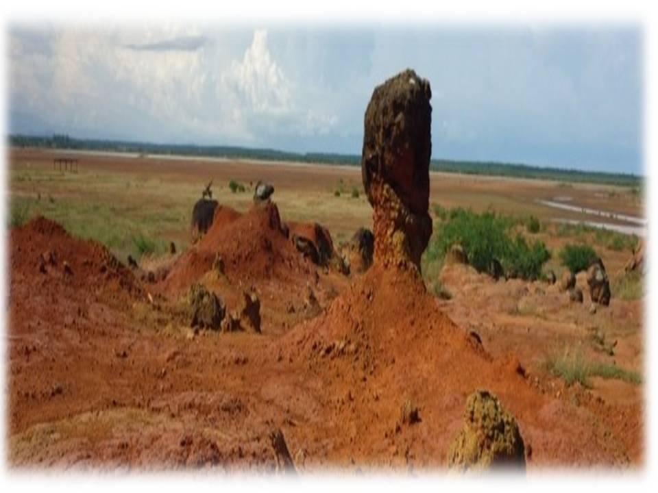 Vivir el turismo en Panamá: El Arco Seco de Panamá
