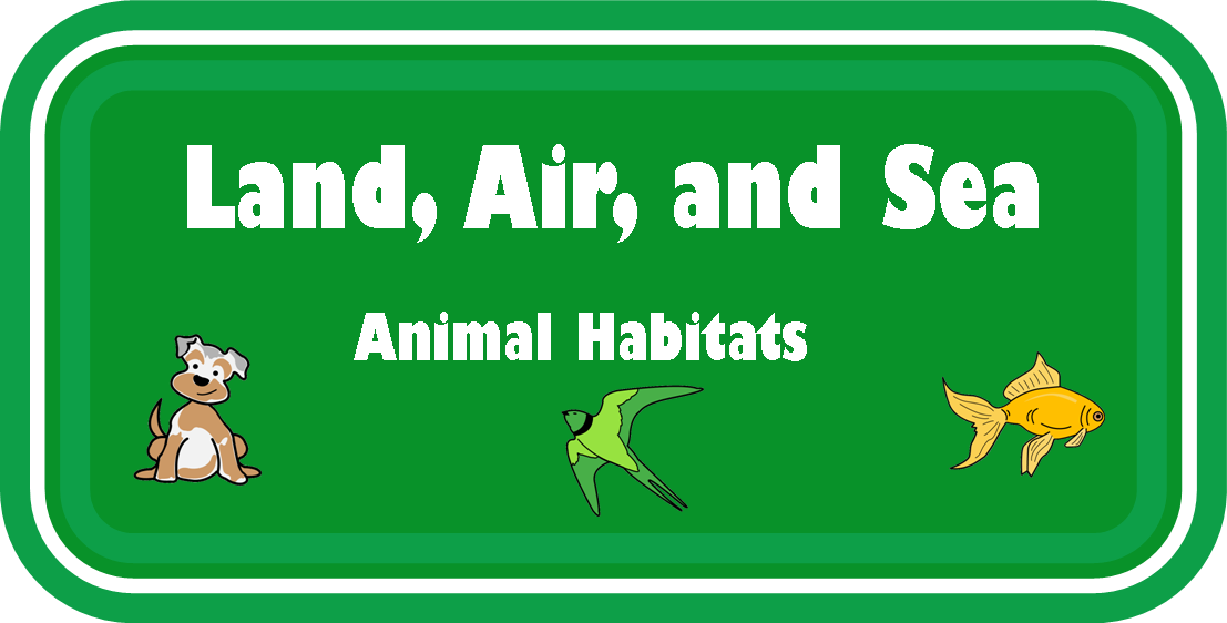 Folder Games and More: Land, Air, and Sea