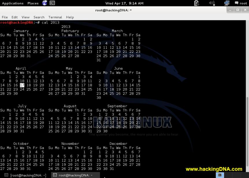 Shell Scripting On Kali Linux | محمد البلوشي Shell Scripting On Kali Linux | محمد البلوشي