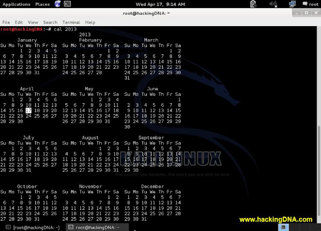 HackingDNA: Shell Scripting On Kali Linux