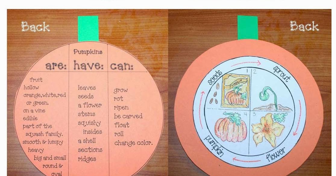 Classroom Freebies Life Cycle Of A Pumpkin Writing Prompt Craftivity classroom-freebies-life-cycle-of-a-pumpkin-writing-prompt-craftivity