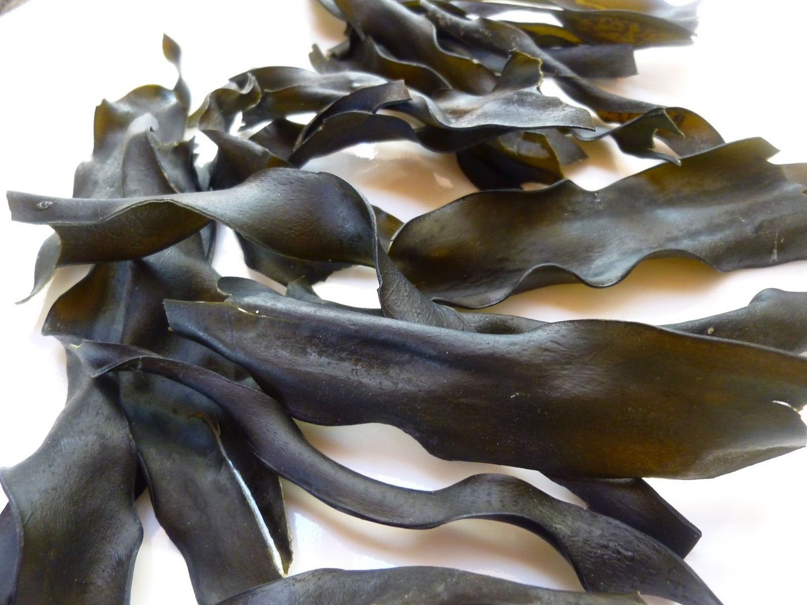 Opiniones de kombu