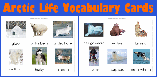 Memorizing the Moments: Arctic Vocabulary Cards