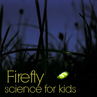 20 Summer Science Ideas: Kid's Co-op ~ Reading Confetti