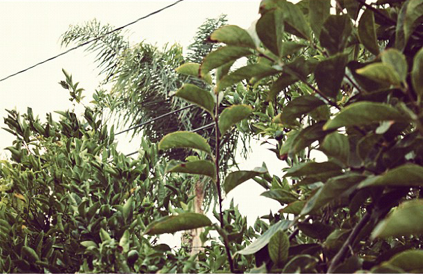 Lovingly Simple: October 2011