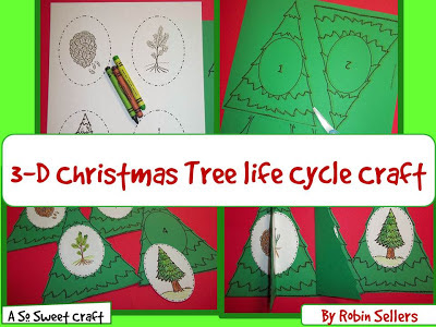 Sweet Tea Classroom: Life Cycle of a Christmas Tree: 3-D Life Cycle of ...