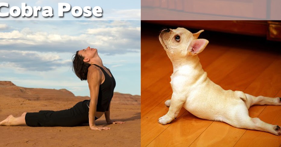 GG Maza: Funny Yoga Poses
