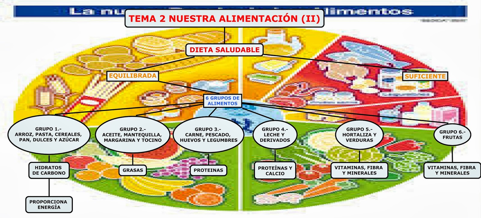 La libreta de Antonio: TEMA 2. NUESTRA ALIMENTACIÓN (II). MAPA CONCEPTUAL.