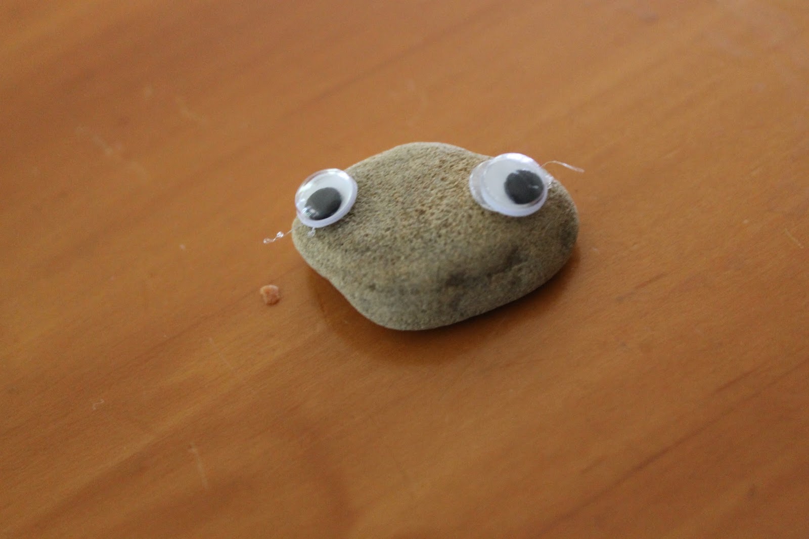 I Did It You Do It Pet Rocks i-did-it-you-do-it-pet-rocks