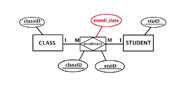 Database: Composite Entities Database: Composite Entities