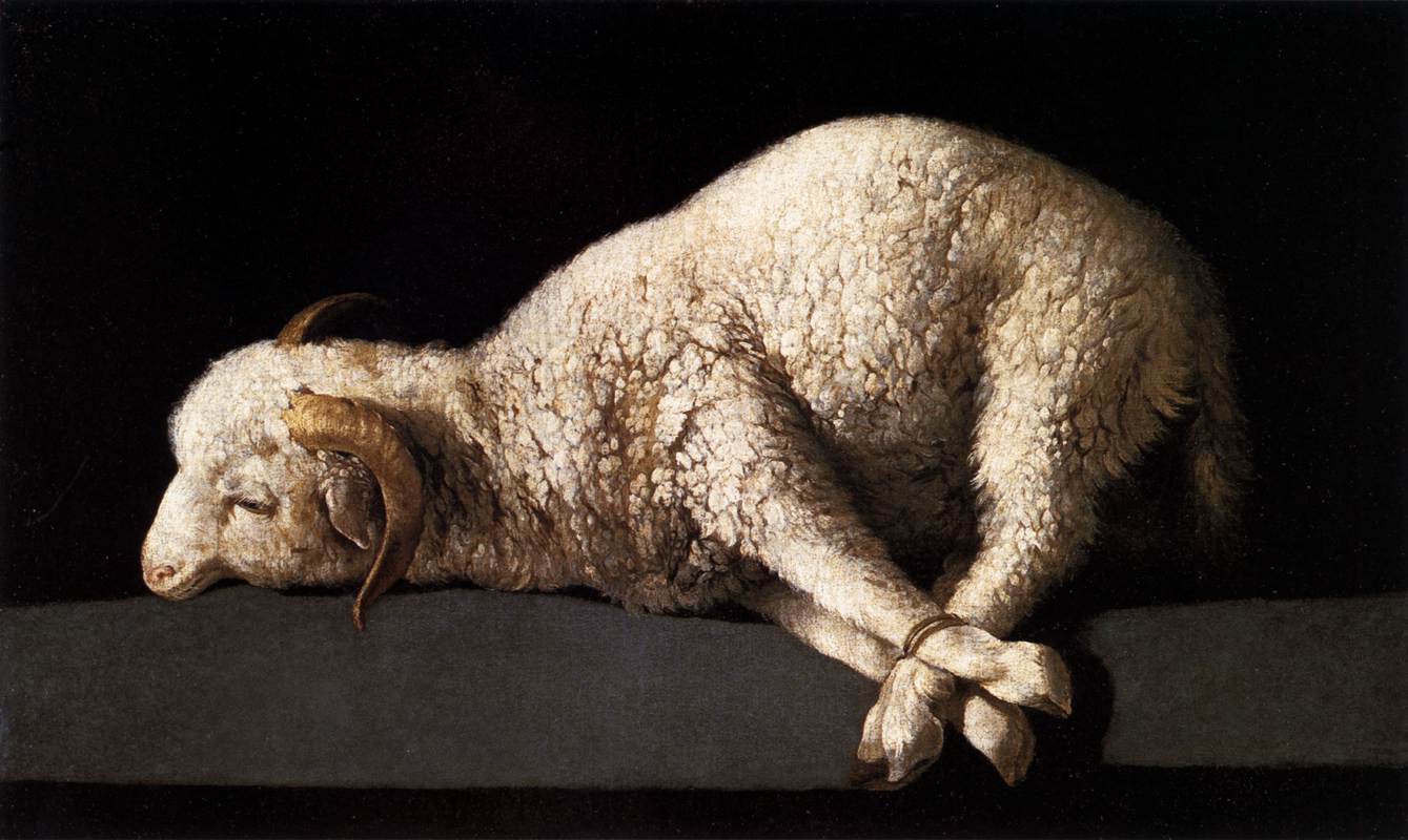 Biblische Ausbildung January Term Seminar Religious Sacrifice biblische-ausbildung-january-term-seminar-religious-sacrifice