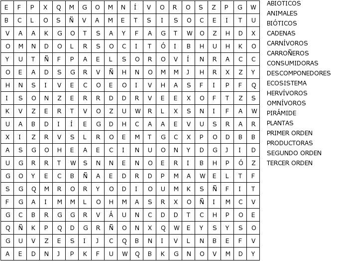 CADENAS ALIMENTICIAS: LAS CADENAS ALIMENTICIAS