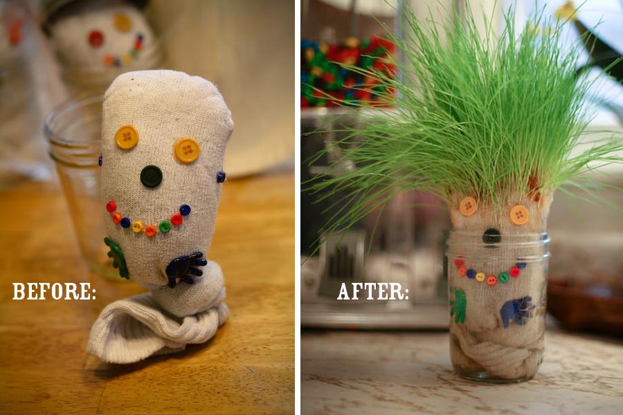 Kitchen Magicians SOCK CHIA PETS CRAFT kitchen-magicians-sock-chia-pets-craft