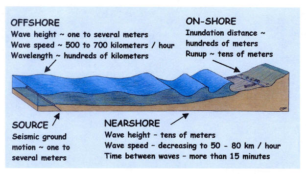 What impact does a tsunami have on ships at sea? : r/askscience