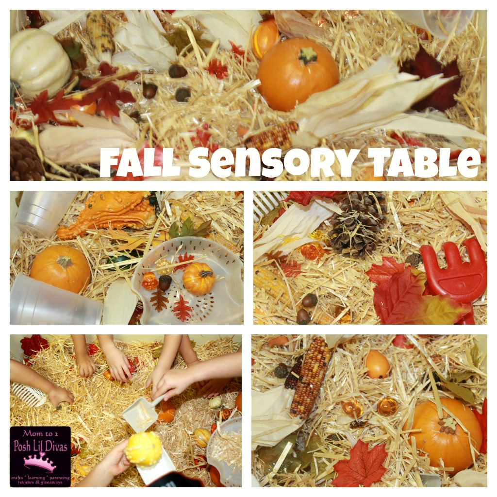 Fall Themed Sensory Table fall-themed-sensory-table
