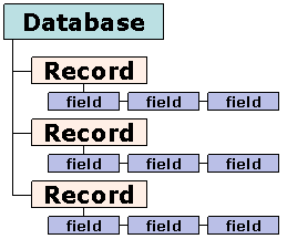 Ada Info: Cara Memindahkan Posisi Field Database