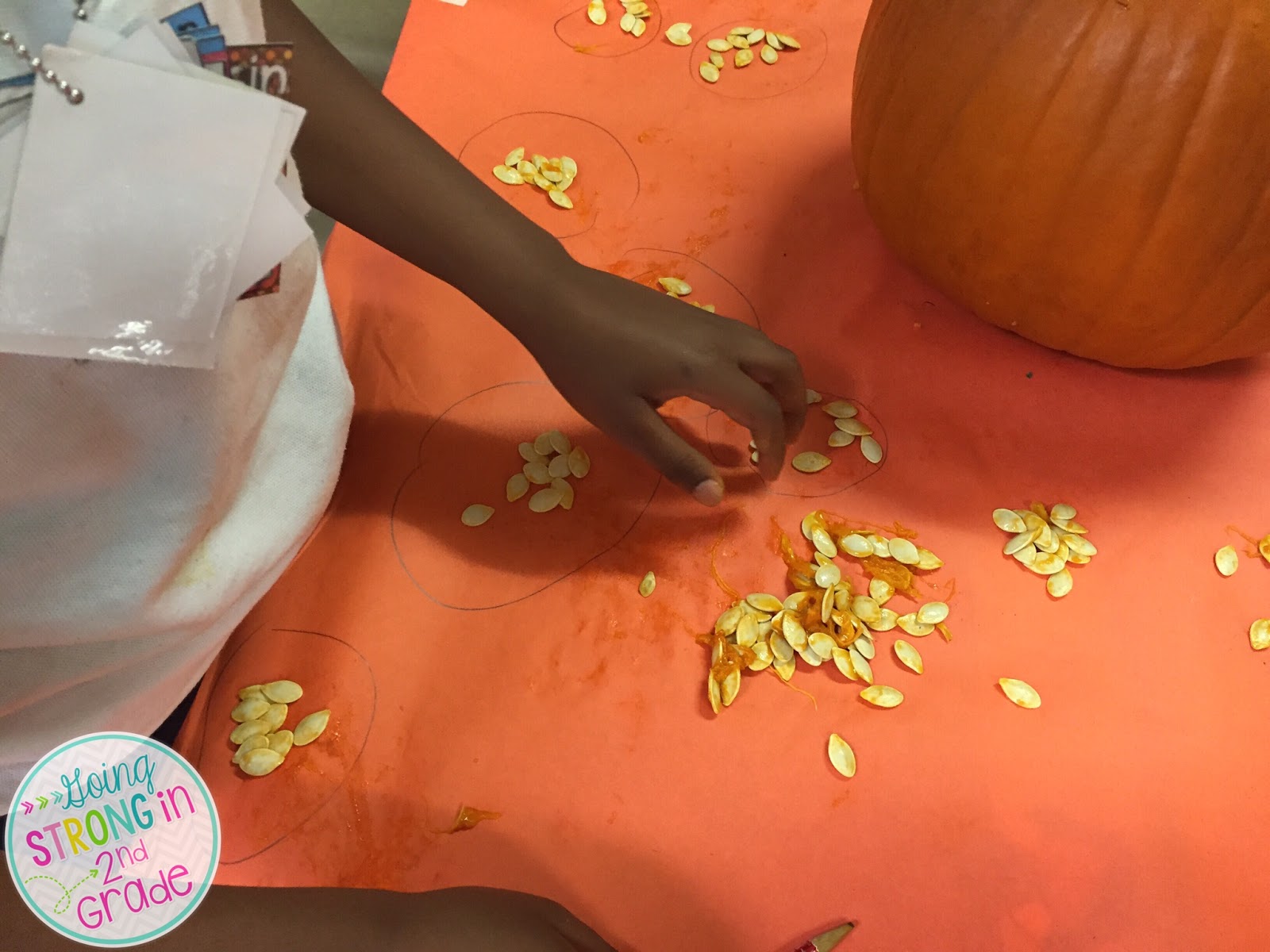 Going Strong in 2nd Grade: Pumpkin Week!!