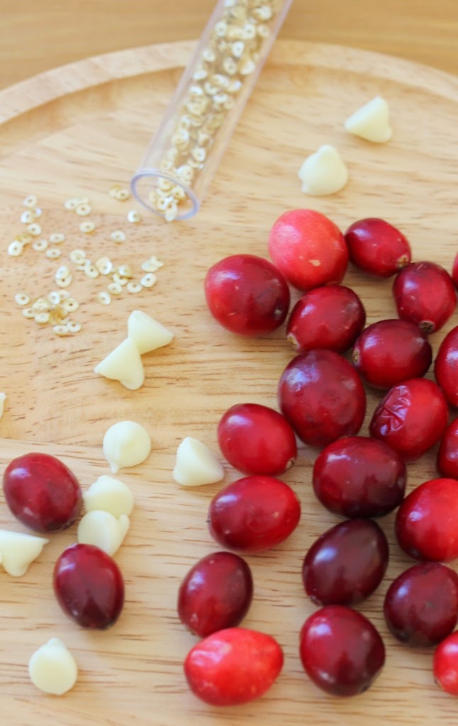 Cranberry Dessert Two Ways: White Chocolate Dipped Cranberries ... Cranberry Dessert Two Ways: White Chocolate Dipped Cranberries ...
