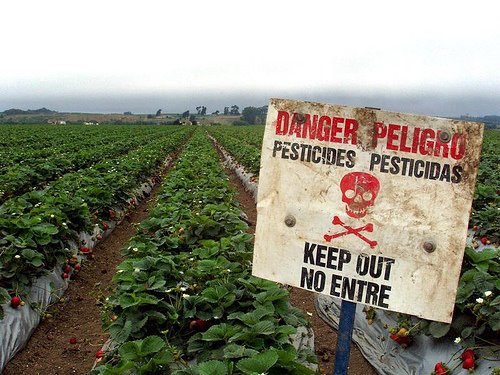 Study Pesticides Cause Hyperactivity In Children Buzz Punching study-pesticides-cause-hyperactivity-in-children-buzz-punching