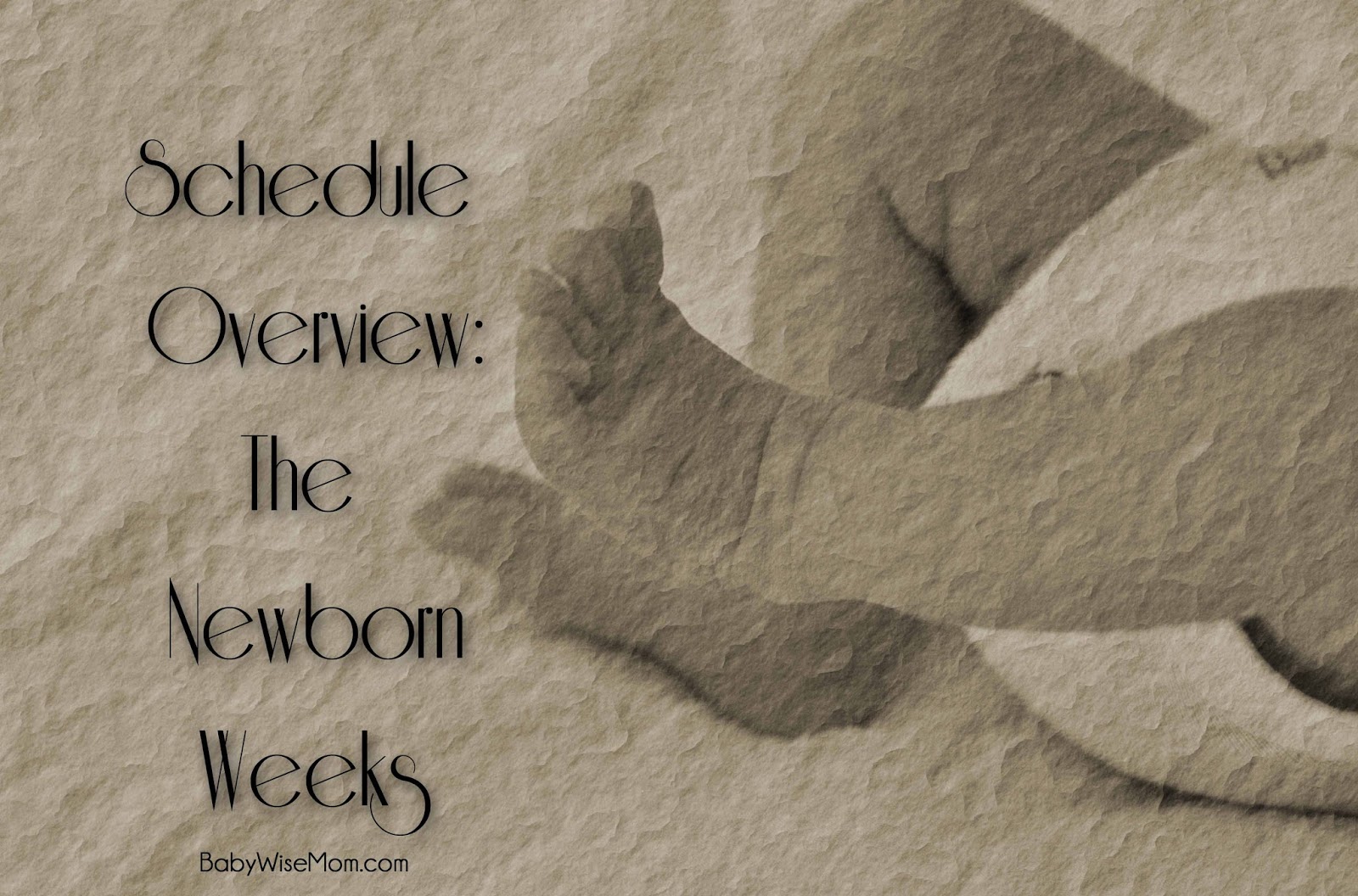 Schedule Overview The Newborn Weeks Chronicles Of A Babywise Mom schedule-overview-the-newborn-weeks-chronicles-of-a-babywise-mom