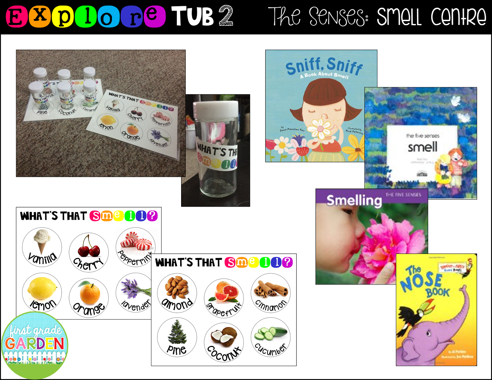 First Grade Garden: Explore Tubs for the Five Senses {with Freebies}