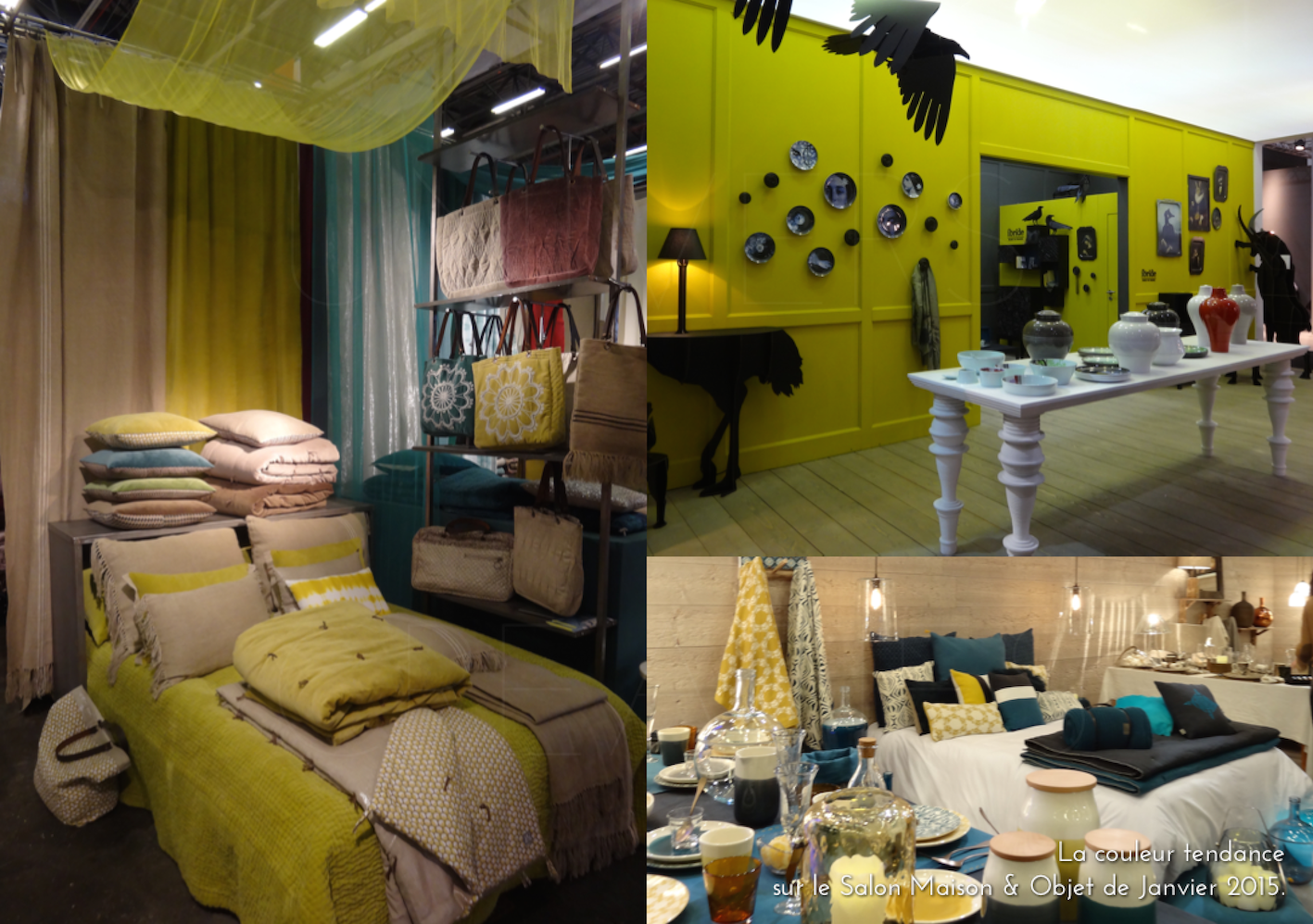 Maison & Objet 2015 : Couleurs.