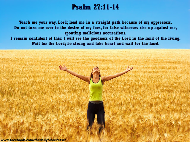 Daily Bible Verses Psalm 27 11 14 daily-bible-verses-psalm-27-11-14