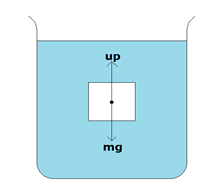SOLUTION: PHYSICS: ARCHIMEDES' PRINCIPLE - Studypool